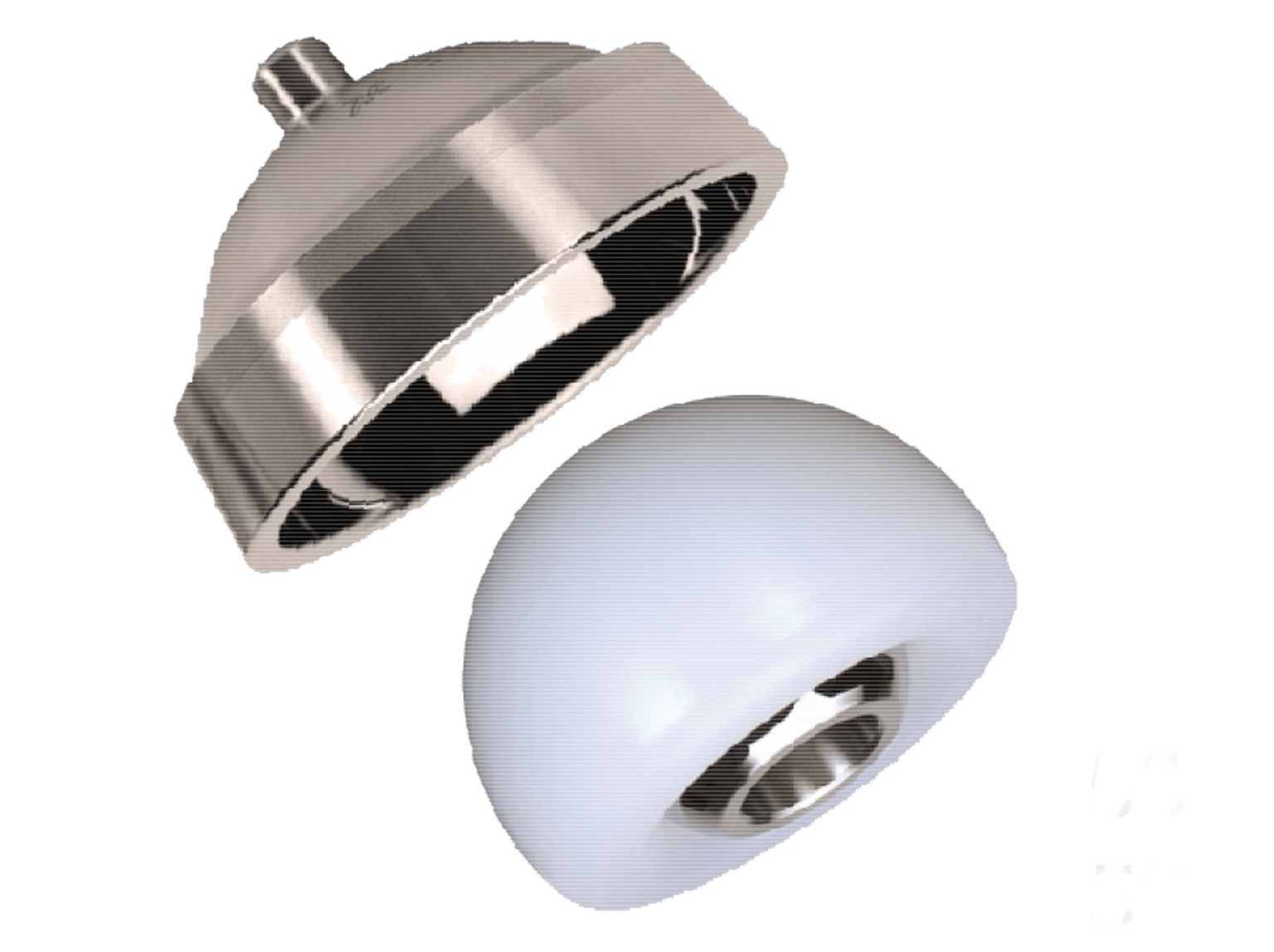 Dual Mobility - Ortho House