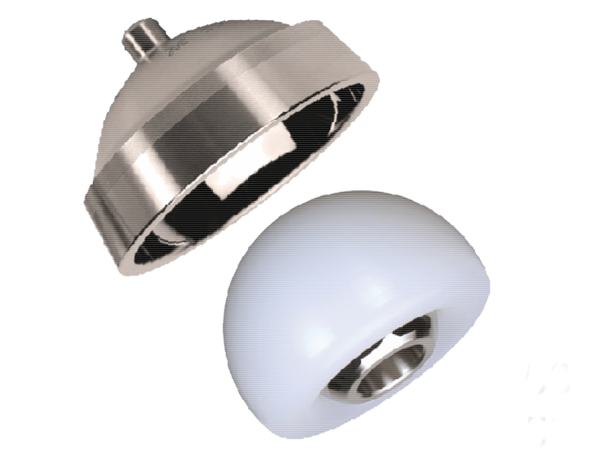 Dual Mobility - Ortho House